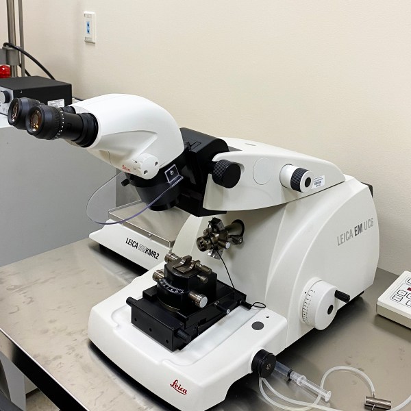 TEM Micrographs – The Costantini Lab